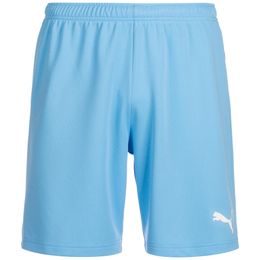 Puma Sportshorts 'TeamRise' Herren Gr&ouml;&szlig;e M hellblau