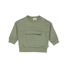 M&uuml;sli by GREEN COTTON M&uuml;sli By Green Cotton Sweatshirt Jungen Gr&ouml;&szlig;e 56 gr&uuml;n