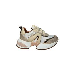 ALEXANDER SMITH Sneaker low Damen Gr&ouml;&szlig;e 40 offwhite
