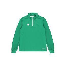 adidas Performance Sportsweatshirt 'Entrada 22' Jungen Gr&ouml;&szlig;e 152 gr&uuml;n / wei&szlig;