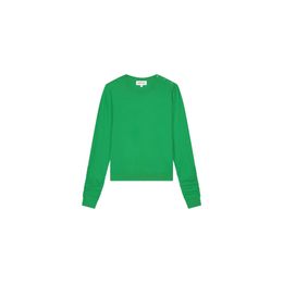 Fabienne Chapot Pullover Damen Gr&ouml;&szlig;e XXL limette
