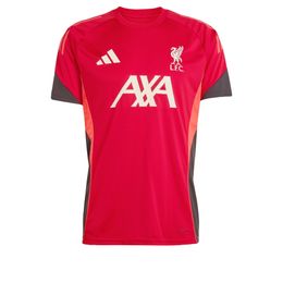 adidas Performance Trikot 'FC Liverpool Tiro 25 Competition' Herren Gr&ouml;&szlig;e XXXL anthrazit / mandarine / rot / wei&szlig;