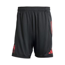 adidas Performance Sporthose 'FC Liverpool Competition 2025/2026' Herren Gr&ouml;&szlig;e XXL greige / rot / schwarz
