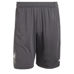 adidas Performance Sporshorts 'FC Liverpool Tiro 25 Competition' Herren Gr&ouml;&szlig;e L anthrazit / melone / offwhite