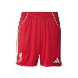 adidas Performance Sportshorts 'FC Liverpool FC 25/26' Herren Gr&ouml;&szlig;e L rot / wei&szlig;