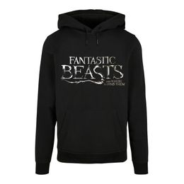 F4NT4STIC Sweatshirt 'Fantastic Beasts And Harry Potter' Herren Gr&ouml;&szlig;e XS grau / schwarz / wei&szlig;