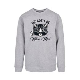 F4NT4STIC Sweatshirt 'K&auml;tzchen You Gotta Be Kitten Me!' Herren Gr&ouml;&szlig;e L grau / schwarz / wei&szlig;
