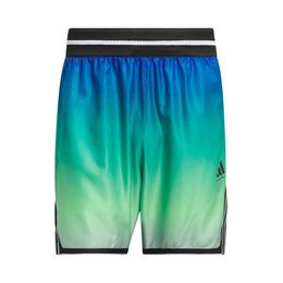 adidas Performance Sporthose Herren Gr&ouml;&szlig;e L blau / gr&uuml;n / jade / schwarz