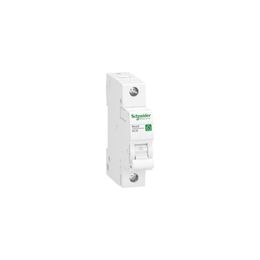 Schneider Electric Leitungsschutzschalter 1P,10A,C R9F24110)