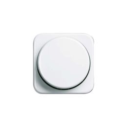 BUSCH-JAEGER Zentralscheibe aws f&uuml;r Drehdimmer 2115-214 (2CKA006599A0237)