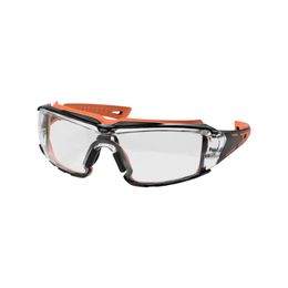 HOLEX Komfort-Schutzbrillen-Set Clear B&uuml;gelkissen (096858 CLEAR)