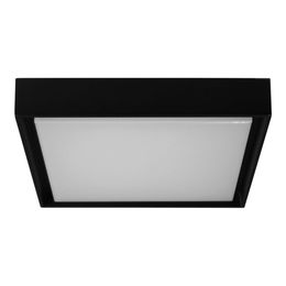 Brumberg Leuchten LED-Wandleuchte 830, schwarz, IP54 60108183 aus Metall, 60108183)