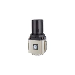 Riegler Druckregler &raquo;G&laquo;, inkl. Manometer, BG 600, G 1, 0,5 - 9 bar (GR 55)