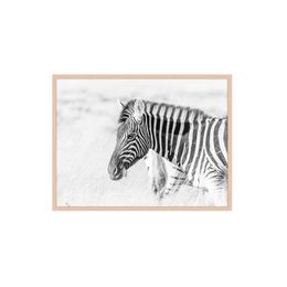 Liv Corday Bild 'Zebra' Herren Gr&ouml;&szlig;e 60x80 braun / schwarz / wei&szlig;