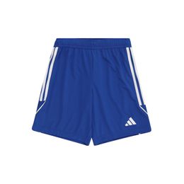 adidas Performance Sportshorts 'Tiro 23 League' Jungen Gr&ouml;&szlig;e 164 royalblau / wei&szlig;