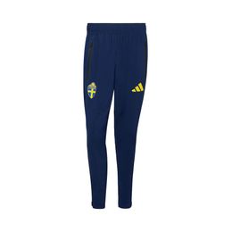 adidas Performance Workout Pants 'Schweden Tiro Tech' male Blue size S