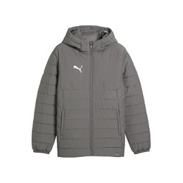 Puma Winter Jacket male Grey size XL