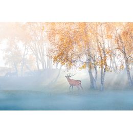 papermoon Fototapete "Photo-Art SIMOON, ELCH IN NEBEL VERLOREN", B/L: 4,5m x 2,8m, Bahnen: 9 Stk., bunt, Schlafzimmer, Tapeten
