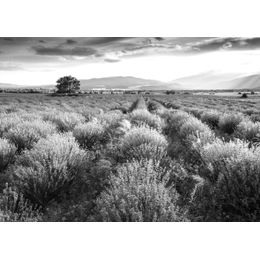 papermoon Fototapete "Landschaft schwarz & wei&szlig;", B/L: 4,5m x 2,8m, Bahnen: 9 Stk., schwarz, Schlafzimmer, Tapeten