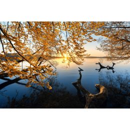 papermoon Fototapete "Photo-Art KELLER, HERBSTMORGEN", B/L: 5m x 2,8m, Bahnen: 10 Stk., bunt, Schlafzimmer, Tapeten