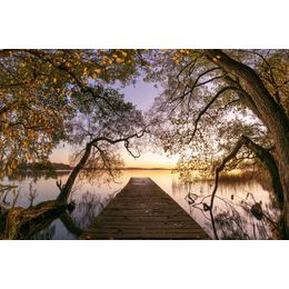 papermoon Fototapete "Photo-Art KELLER, HERBST", B/L: 4m x 2,6m, Bahnen: 8 Stk., bunt, Schlafzimmer, Tapeten
