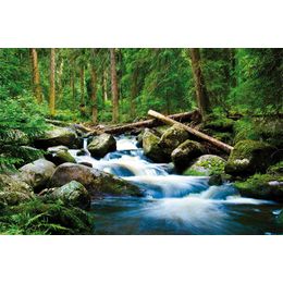 papermoon Fototapete "Deep Forrest", B/L: 2,5m x 1,8m, bunt, Tapeten