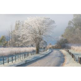 papermoon Fototapete "Photo-Art CHRIS MOORE, EIN FROSTIGER MORGEN", B/L: 5m x 2,8m, Bahnen: 10 Stk., bunt, Schlafzimmer, Tapeten