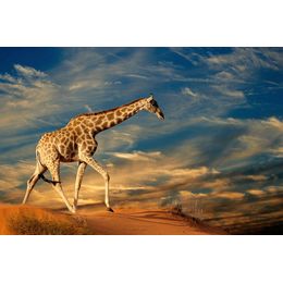 papermoon Fototapete "Giraffe", B/L: 4,5m x 2,8m, Bahnen: 9 Stk., bunt, Schlafzimmer, Tapeten