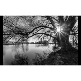 papermoon Fototapete "Baumsee Sonnenaufgang", B/L: 4,5m x 2,8m, Bahnen: 9 Stk., bunt, Schlafzimmer, Tapeten