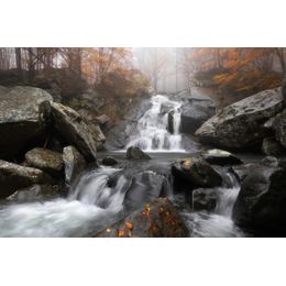 papermoon Fototapete "Photo-Art FRANCESCO TAVANI, HERBSTNEBEL", B/L: 3,5m x 2,6m, Bahnen: 7 Stk., bunt, Schlafzimmer, Tapeten