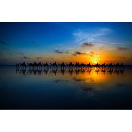 papermoon Fototapete "Photo-Art LOUISE WOLBERS, SUNSET CAMEL RIDE", B/L: 4,5m x 2,8m, Bahnen: 9 Stk., bunt, Schlafzimmer, Tapeten