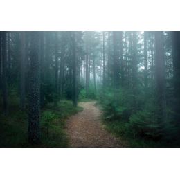 papermoon Fototapete "Photo-Art CHRISTIAN LINDSTEN, DER VERWUNSCHENE WALD", B/L: 2,5m x 1,86m, Bahnen: 5 Stk., bunt, Schlafzimmer, Tapeten