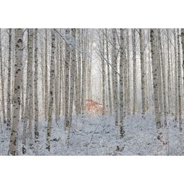papermoon Fototapete "Photo-Art HAN DONG HEE, WEISS", B/L: 5m x 2,8m, Bahnen: 10 Stk., bunt, Schlafzimmer, Tapeten