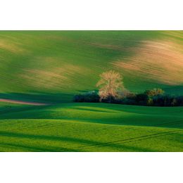 papermoon Fototapete "Feld mit H&uuml;tte", B/L: 4m x 2,6m, Bahnen: 8 Stk., bunt, Schlafzimmer, Tapeten