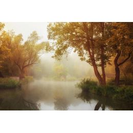 papermoon Fototapete "Photo-Art LEICHER OLIVER, NEBELIGER HERBST", B/L: 5m x 2,8m, Bahnen: 10 Stk., bunt, Schlafzimmer, Tapeten