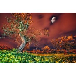 papermoon Fototapete "Baum in Landschaft", B/L: 3m x 2,23m, Bahnen: 6 Stk., bunt, Schlafzimmer, Tapeten