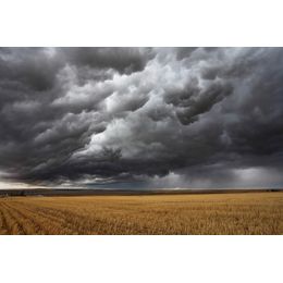 papermoon Fototapete "Feld mit Gewitter", B/L: 5m x 2,8m, Bahnen: 10 Stk., bunt, Schlafzimmer, Tapeten