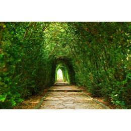papermoon Fototapete "Gartenweg", B/L: 5m x 2,8m, Bahnen: 10 Stk., bunt, Schlafzimmer, Tapeten
