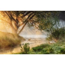 papermoon Fototapete "Fluss am Baum", B/L: 4m x 2,6m, Bahnen: 8 Stk., bunt, Schlafzimmer, Tapeten
