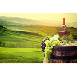 papermoon Fototapete "WEINBAU-WEIN TRAUBEN FELD WIESE WEIN SONNE LANDSCHAFT", B/L: 4,5m x 2,8m, Bahnen: 9 Stk., bunt, Schlafzimmer, Tapeten