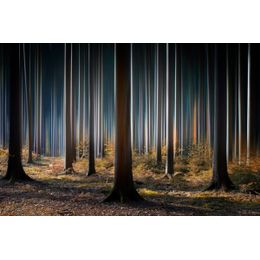 papermoon Fototapete "Photo-Art CARSTEN MEYERDIERKS, MYSTISCHER WALD", B/L: 4,5m x 2,8m, Bahnen: 9 Stk., bunt, Schlafzimmer, Tapeten