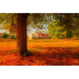 papermoon Fototapete "Herbstlandschaft", B/L: 5m x 2,8m, Bahnen: 10 Stk., bunt, Wohnzimmer, Tapeten