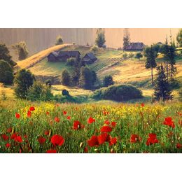 papermoon Fototapete "Neblige Sommerlandschaft", B/L: 5m x 2,8m, Bahnen: 10 Stk., bunt, Schlafzimmer, Tapeten