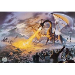 papermoon Fototapete "DRACHE und RITTER, FANTASIE", B/L: 4m x 2,6m, Bahnen: 8 Stk., bunt, Schlafzimmer, Tapeten