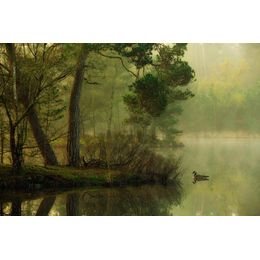 papermoon Fototapete "Photo-Art ANTON VAN DONGEN, ENTE IM SEE", B/L: 4m x 2,6m, Bahnen: 8 Stk., bunt, Schlafzimmer, Tapeten