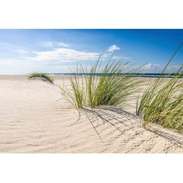 papermoon Fototapete "D&Uuml;NEN-NATUR NORD SEE SAND STRAND MEER W&Uuml;STE LANDSCHAFT", B/L: 4,5m x 2,8m, Bahnen: 9 Stk., bunt, Schlafzimmer, Tapeten