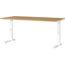 Schreibtisch Germania, B:160cm H:91cm T:80cm, braun, B&uuml;ro, Tische, "Downey", h&ouml;henverstellbar von 68-91 cm, verf&uuml;gbar in verschiedenen Breiten