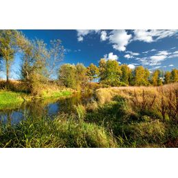 papermoon Fototapete "Fluss durch Feld", B/L: 3,5m x 2,6m, Bahnen: 7 Stk., bunt, Schlafzimmer, Tapeten
