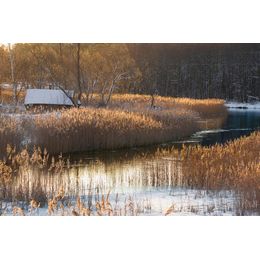 papermoon Fototapete "Fluss", B/L: 4m x 2,6m, Bahnen: 8 Stk., bunt, Schlafzimmer, Tapeten