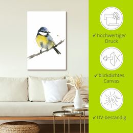 Wandbild Artland, B:40cm H:60cmfarbe bild(er): gelb, Leinwand, Wohnzimmer, Bilder, "Aquarell Blaumeise", als Alubild, Leinwandbild, Poster,